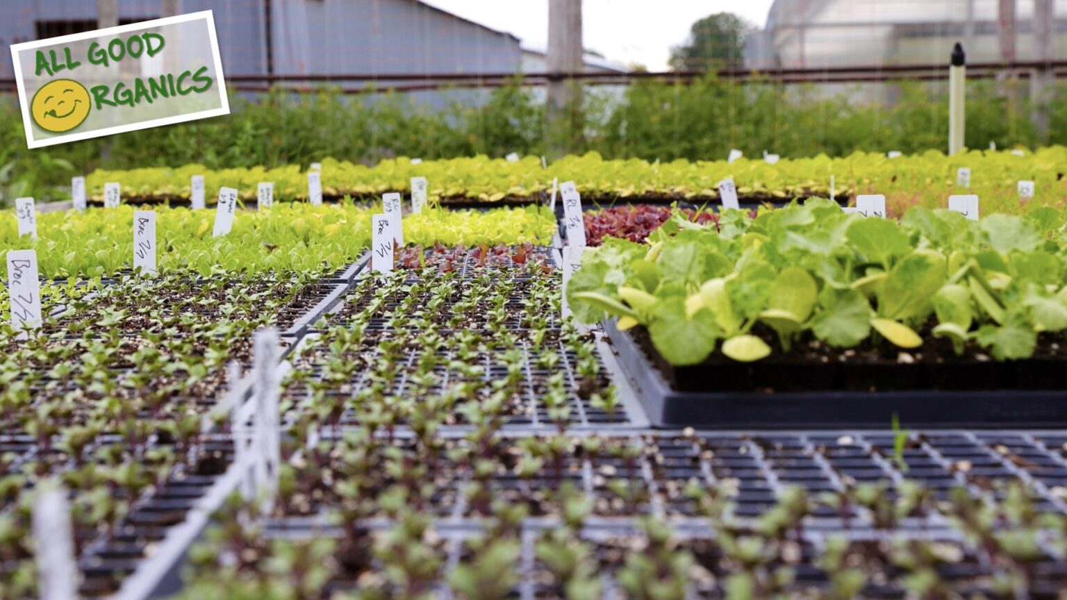 All Good Organics Farm Store – Fresh From Our Fields To Your Table!